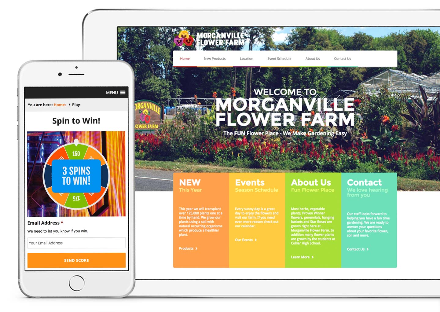 Cross Strategy - Digital Solutions With Creative Results - Cross Strategy